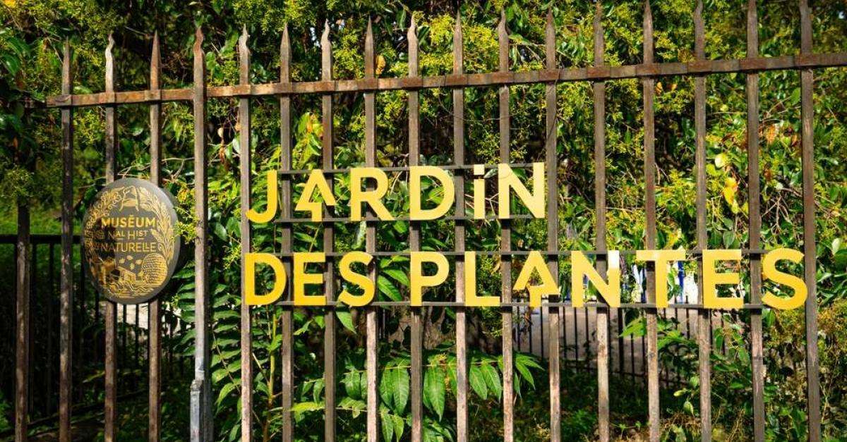 Le Jardin des Plantes à Paris 5 : visite guidée